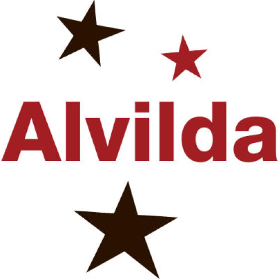 Babysam Nuuk - Bøger - ALVILDA - DISNEY - 24 JULEHISTORIER